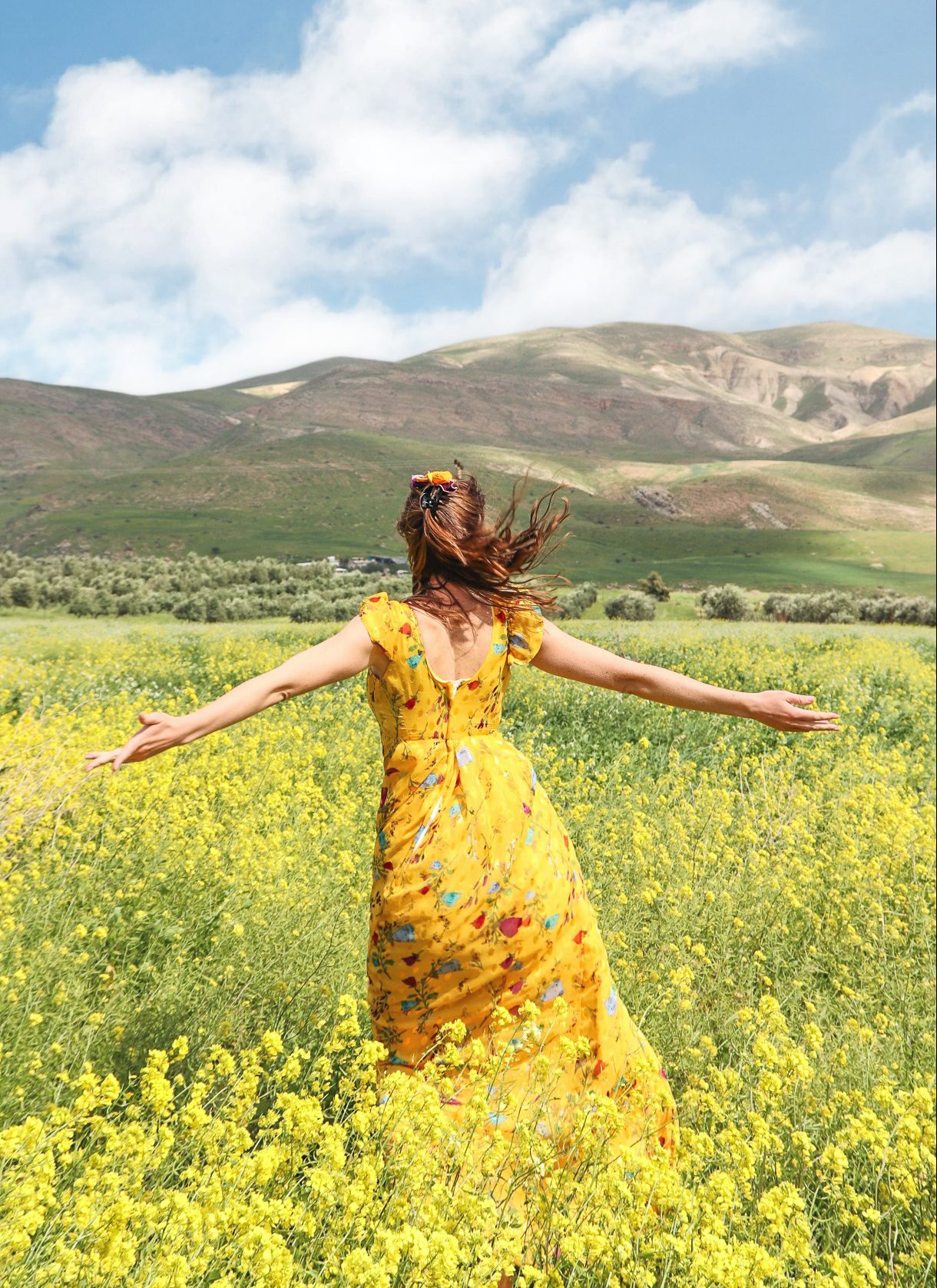 5 Best Places to See Spectacular Wildflowers & Fields of Flowers in ...